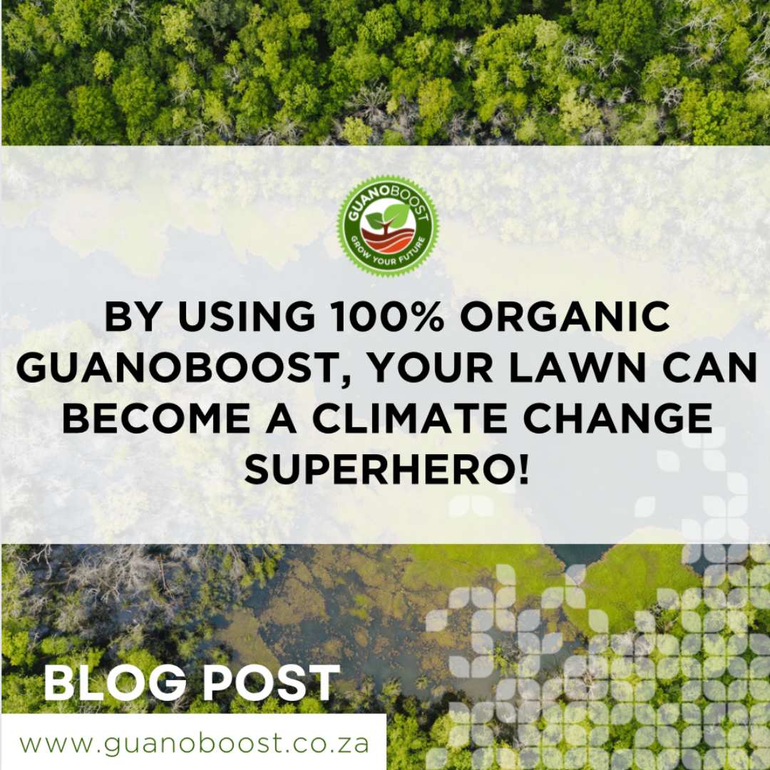 By Using 100% organic GuanoBoost, Your Lawn Can Become a Climate Chang