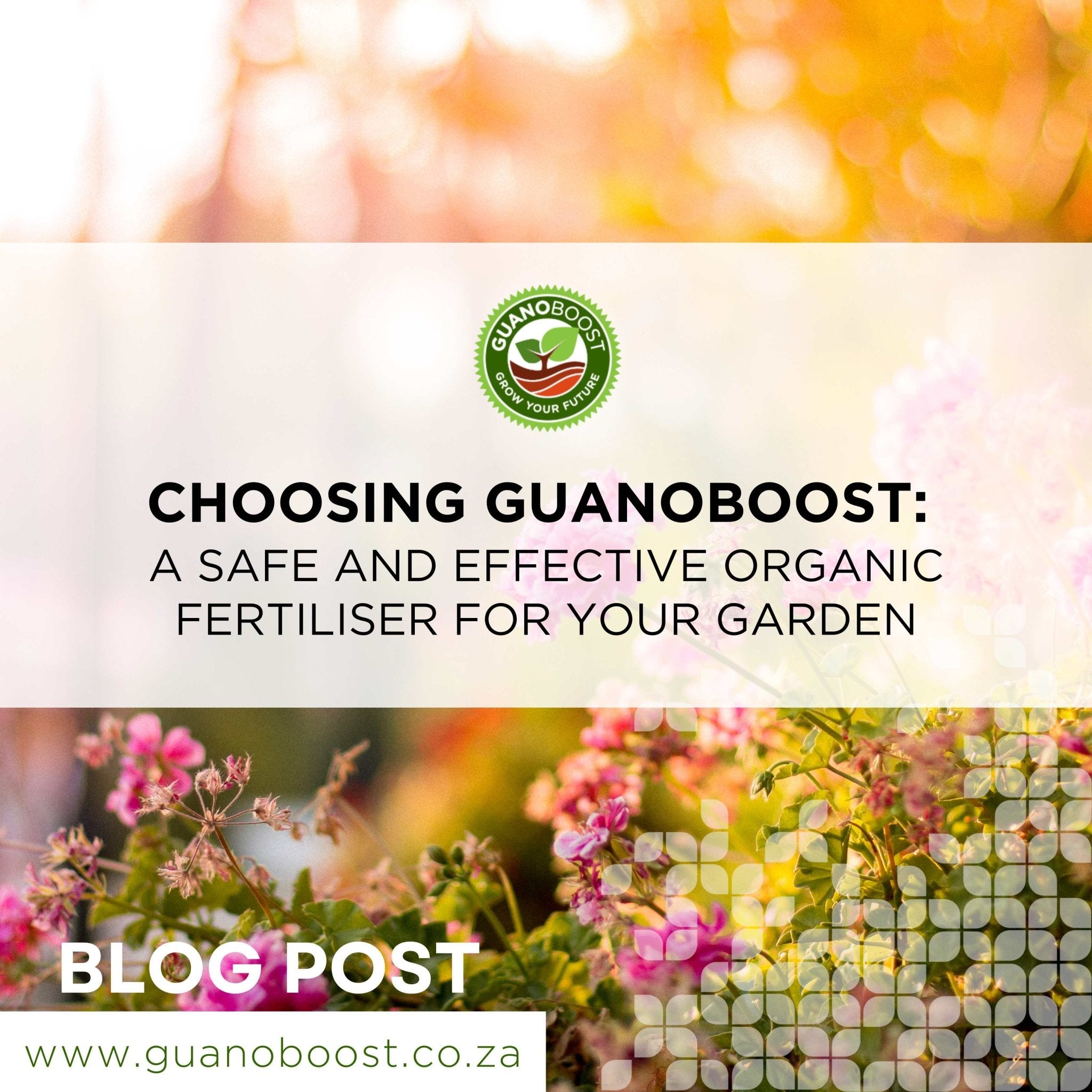 Choosing GuanoBoost: A Safe and Effective Organic Fertiliser for Your