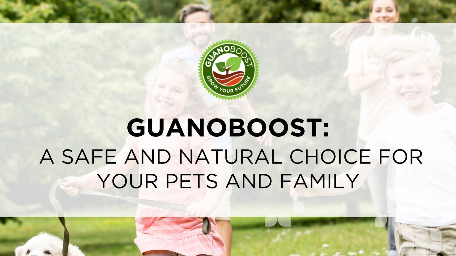 GuanoBoost: A Safe and Natural Choice for Your Pets and Family