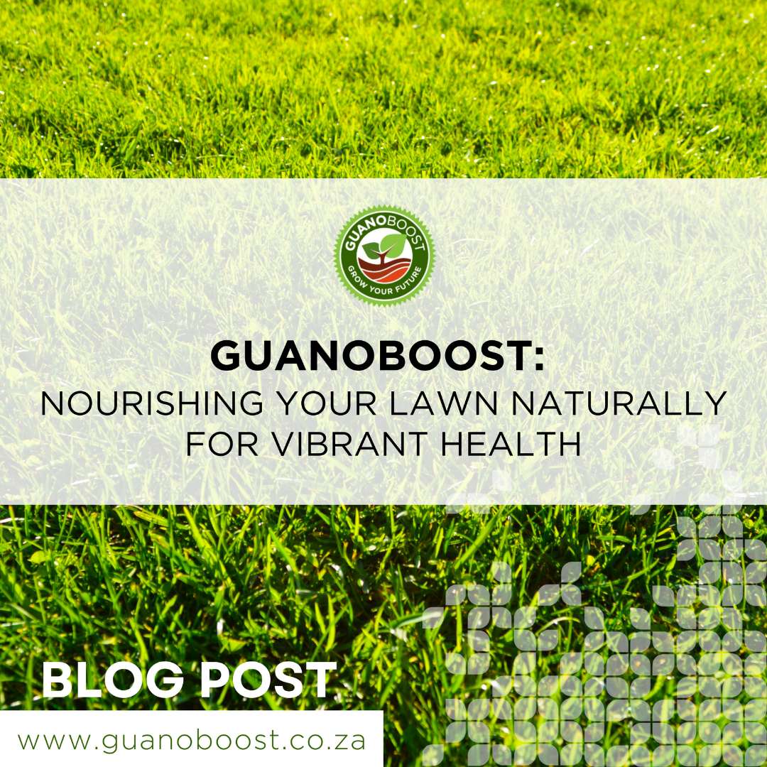 Unveiling the Microbial Magic of GuanoBoost: Transforming Your Lawn's