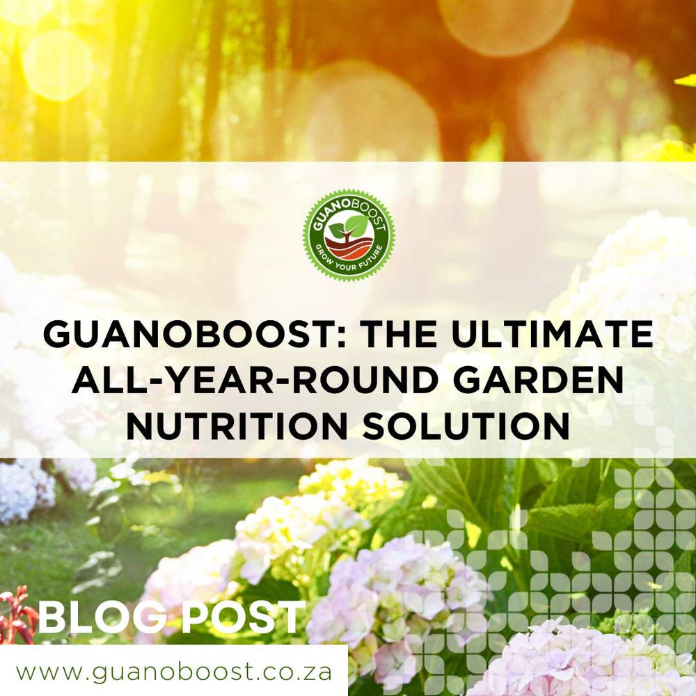 GuanoBoost: The Ultimate All-Year-Round Garden Nutrition Solution