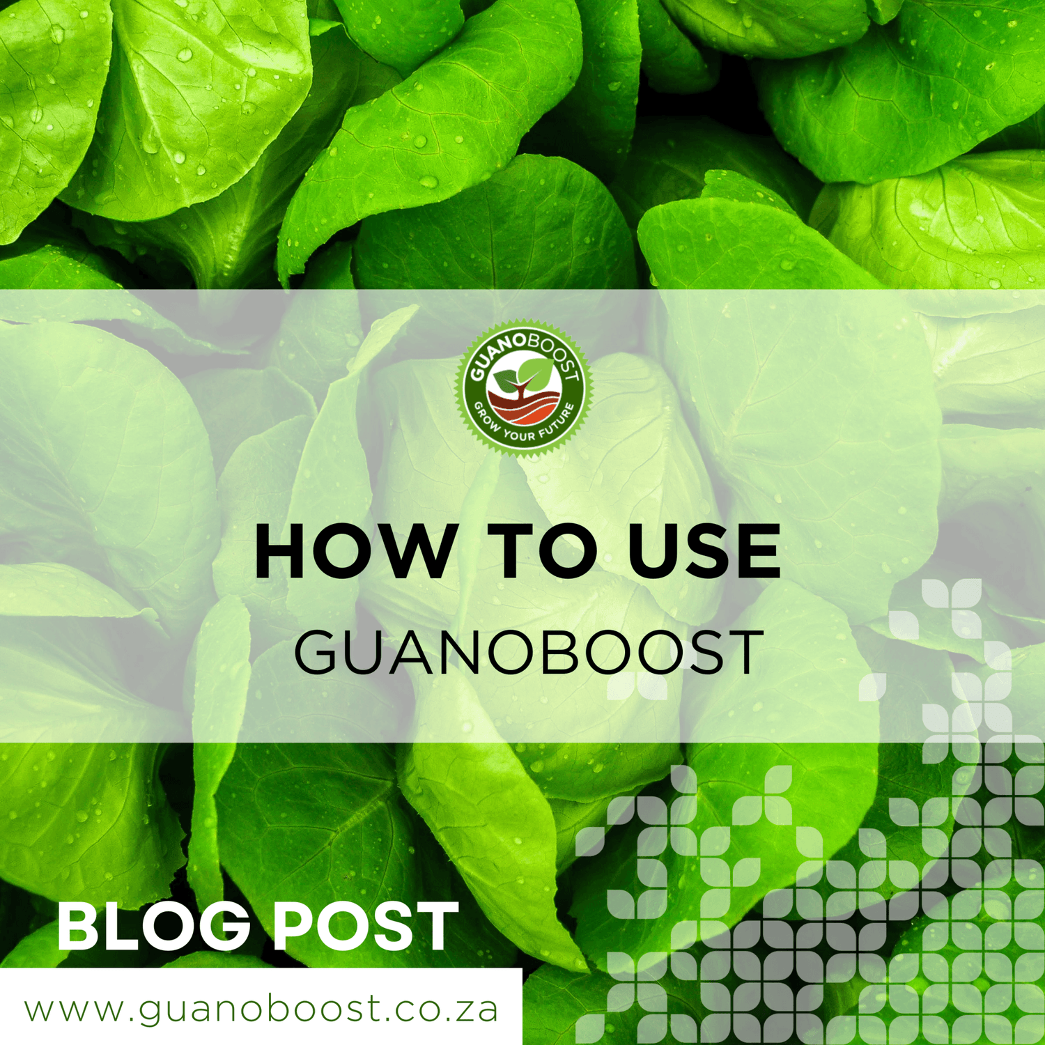 How to use GuanoBoost