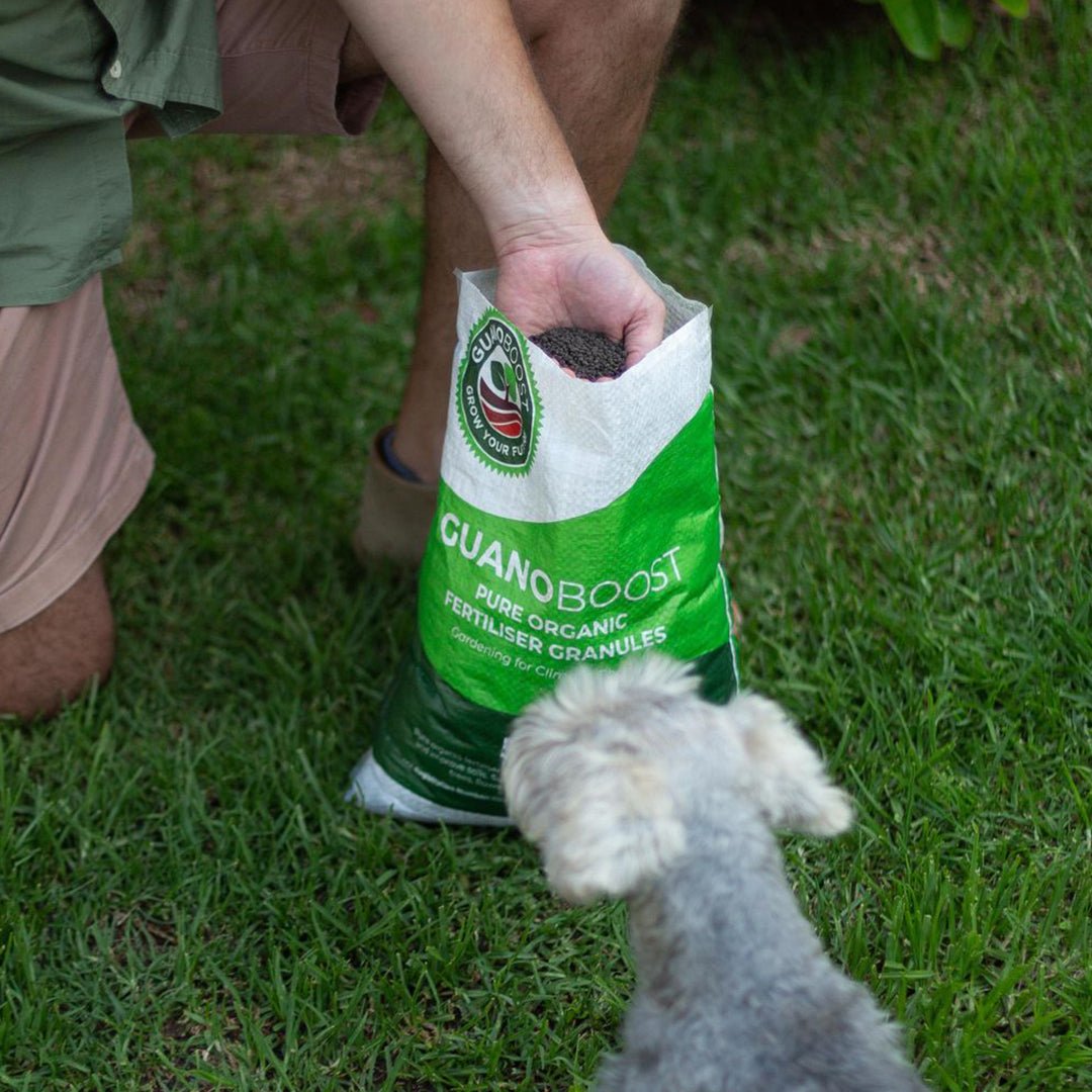 How to Use GuanoBoost Products on Your Lawn