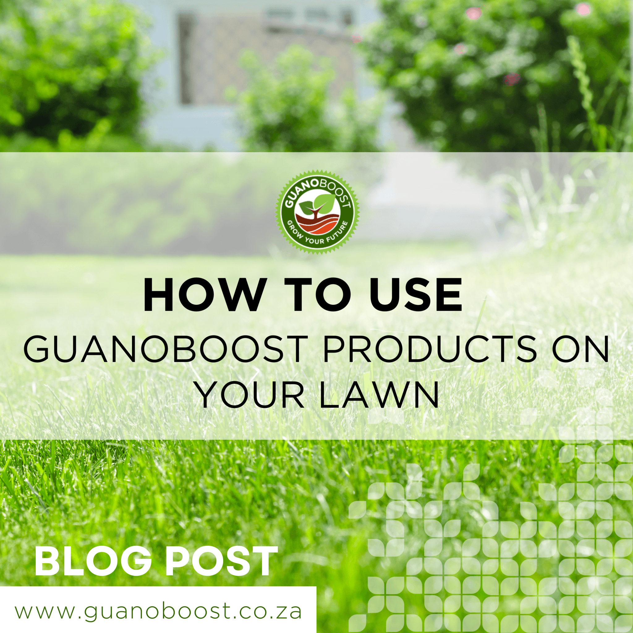 How to Use GuanoBoost Products on Your Lawn
