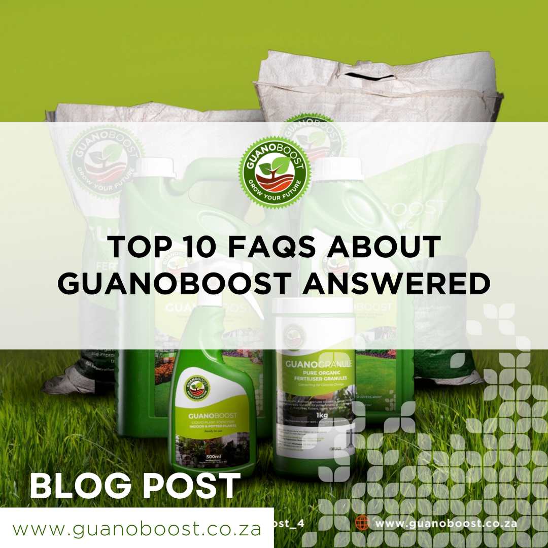 Top 10 FAQs About GuanoBoost Answered