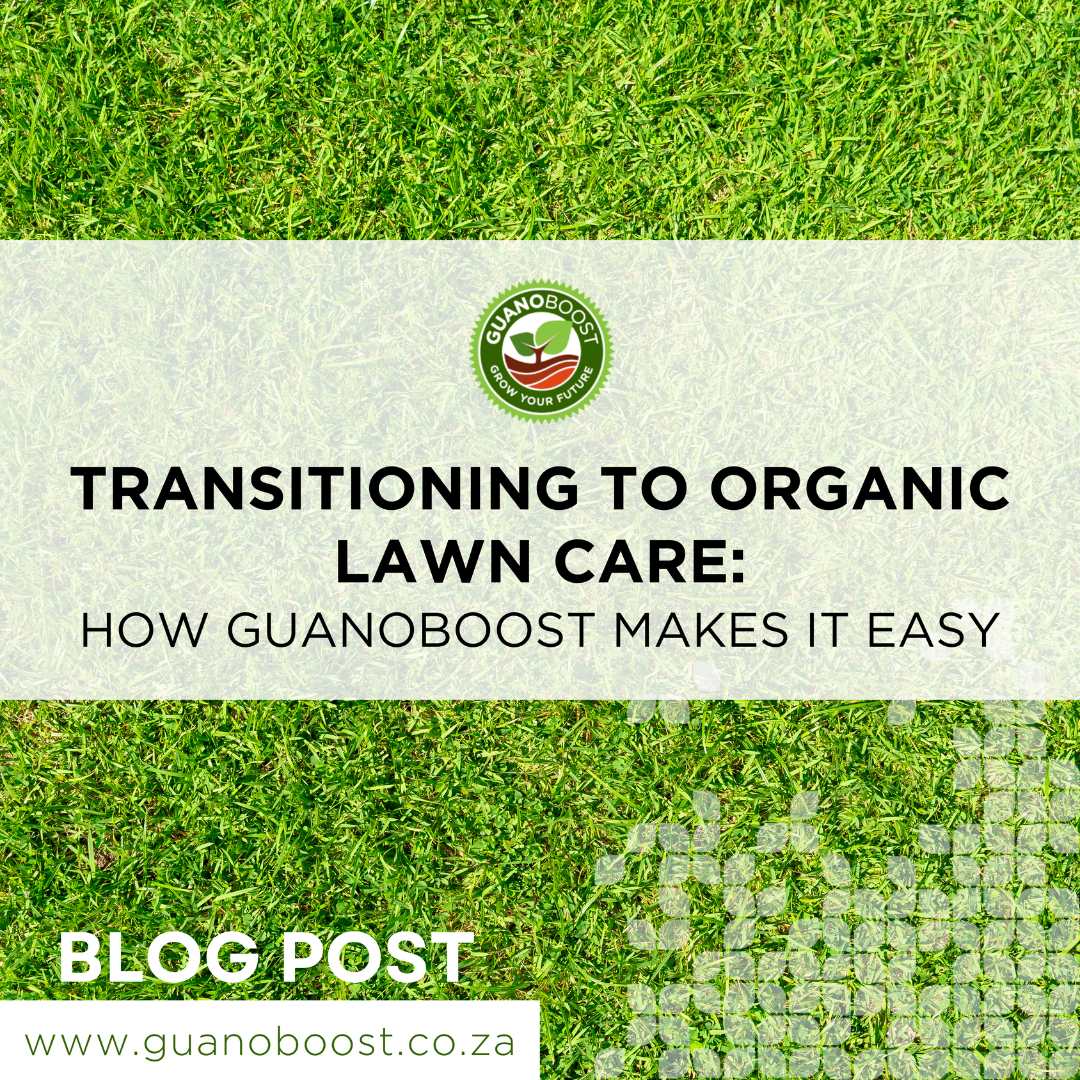 The Do's and Don'ts of Applying GuanoBoost to Your Lawn