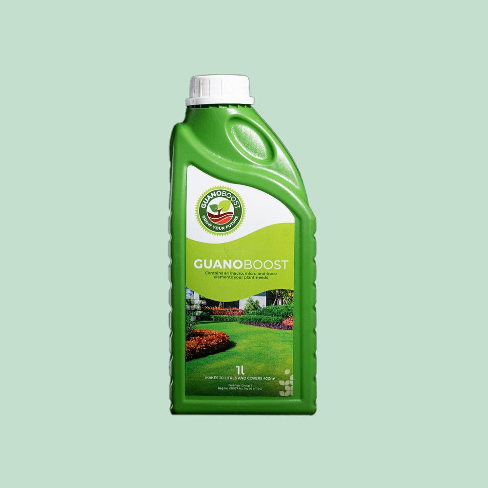 All Products
