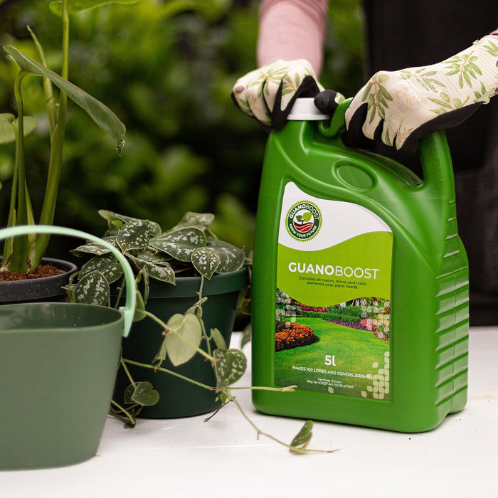 5 Liter GuanoBoost Liquid - For Medium Sized Gardens