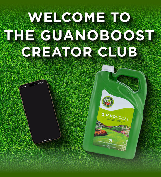 Guanoboost Creators Club – GuanoBoost