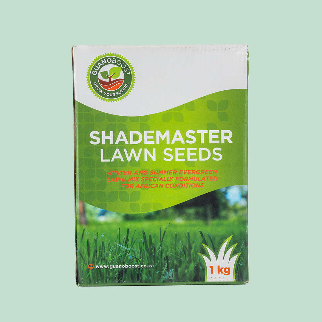 1Kg Shademaster Lawn Seeds – GuanoBoost