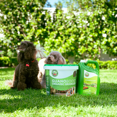 5 Liter GuanoBoost Liquid - For Medium Sized Gardens