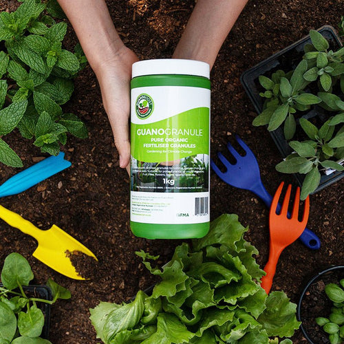 GuanoBoost - 100% organic fertiliser